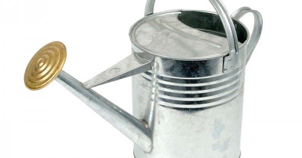 Galvanised Watering Can 2G (10L)